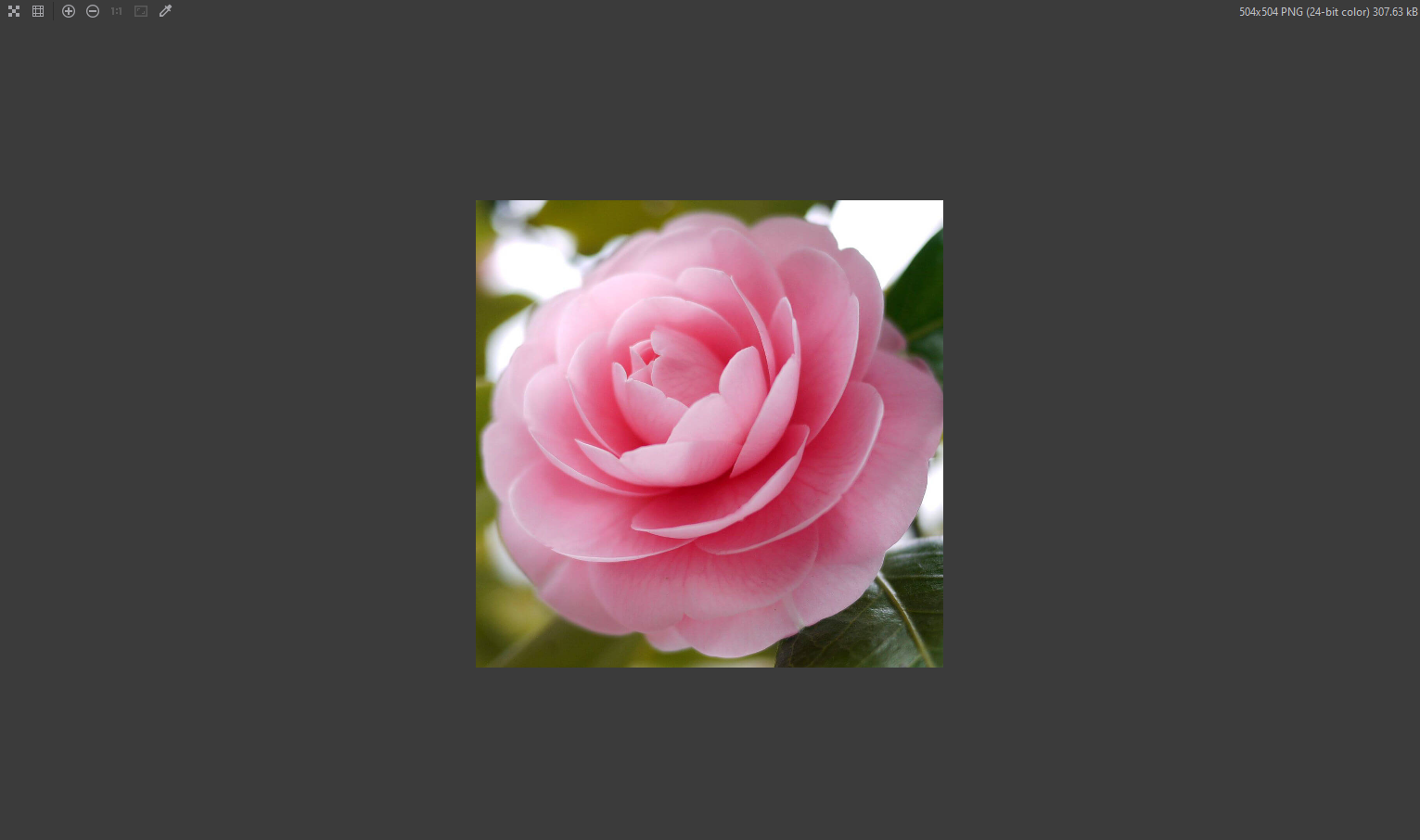 Crop an Image with Croppie.js and Process it with PHP - xzy.cloud